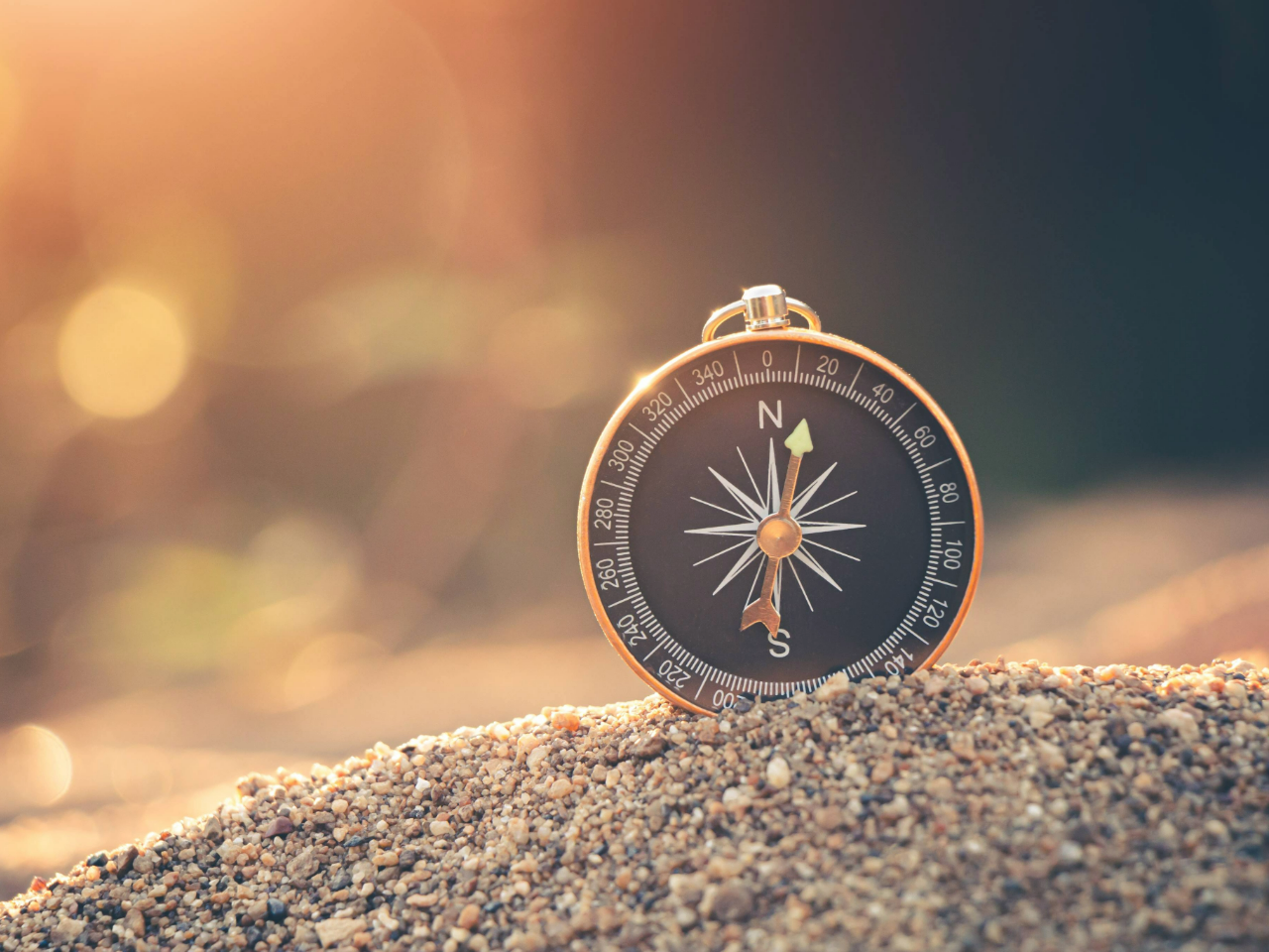 WorkforceGPS - SCC4-SCC5 Performance Orientation: 2025 Demo Participant ...